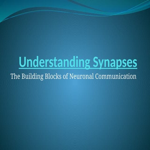 Understanding Synapses.pptx the building blocks of neuronal communication | PPT