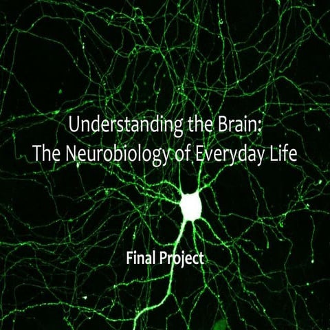 Neurobiology: Autism | PPTX