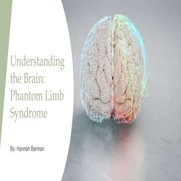 Phantom Limbs And The Brain