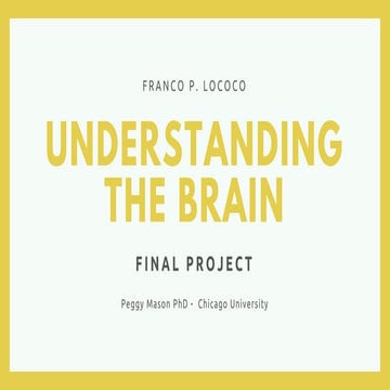 Understanding the brain final project | PPT