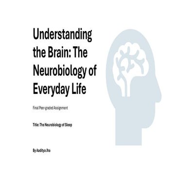 Neurobiology of Sleep | Understanding the Brain The Neurobiology of ...