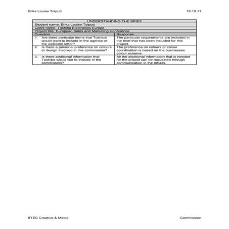 Understanding the Brief | DOCX