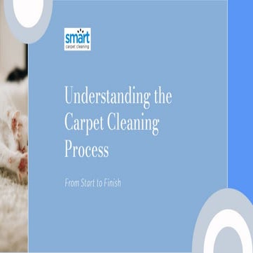 Understanding the Carpet Cleaning Process from Start to Finish.pdf