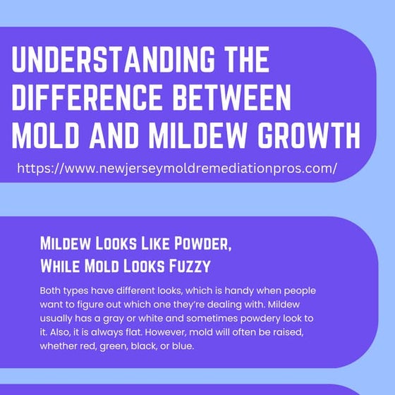 Understanding The Difference Between Mildew And Mold