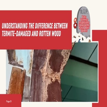 Termite Barrier Gold Coast: Protect Your Property from Termite Damage | PDF