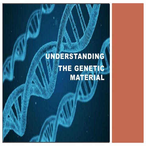 Understanding the Genetic Material, discovery and composition of DNA ...