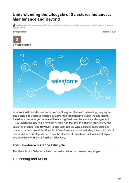 Monitoring and Reporting Tools for Salesforce Instance Maintenance.pdf