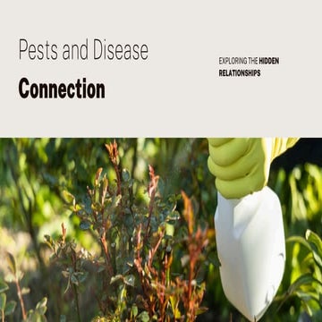 Understanding Pests and Mammal Pests.pdf
