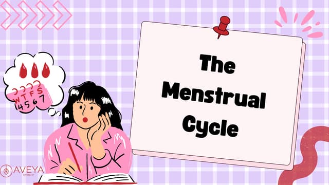 The Menstrual Cycle- Science Presentation Grade 5.pptx