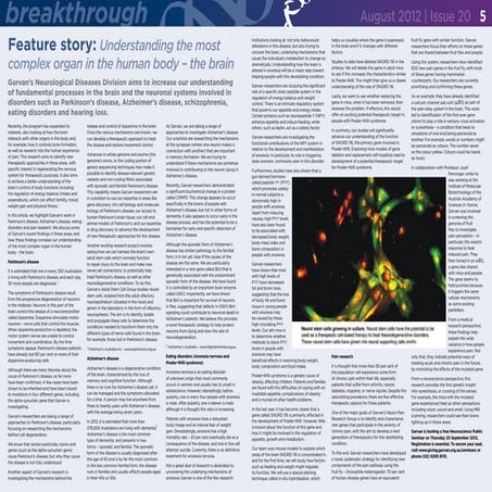 Understanding The Most Complex Organ In The Human Body – The Brain