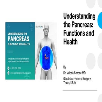 Understanding the Pancreas - Functions and Health.pdf