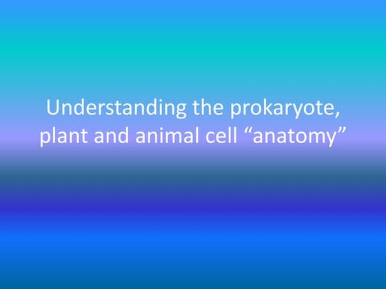 Plant cells | PPT | Biological Sciences | Science