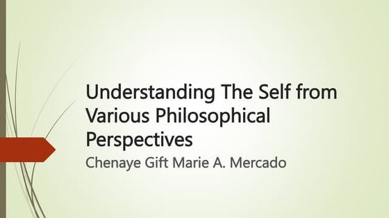 Paul Churchland - Knowing the self (Understanding the Self) | PDF