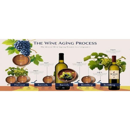 Understanding the Wine Aging Process (1).pdf