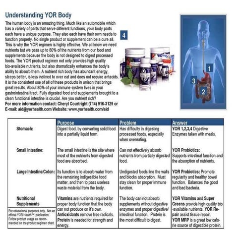 Understanding Yor Body | PPT