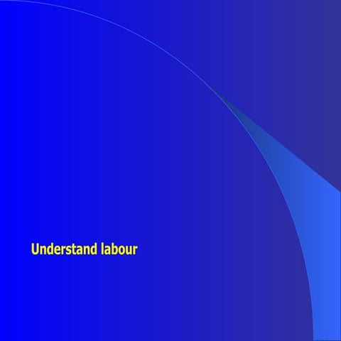 Understand Labour | PPT