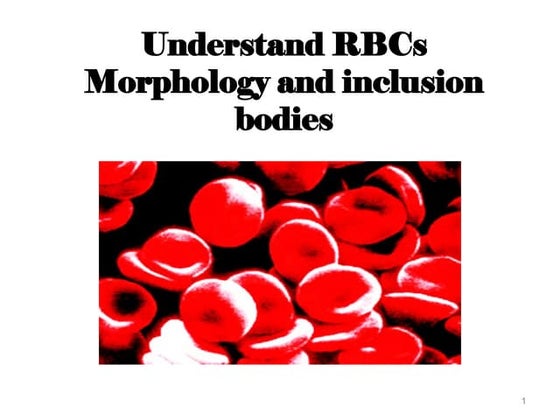 Abnormal morphology of rbc notes | PDF