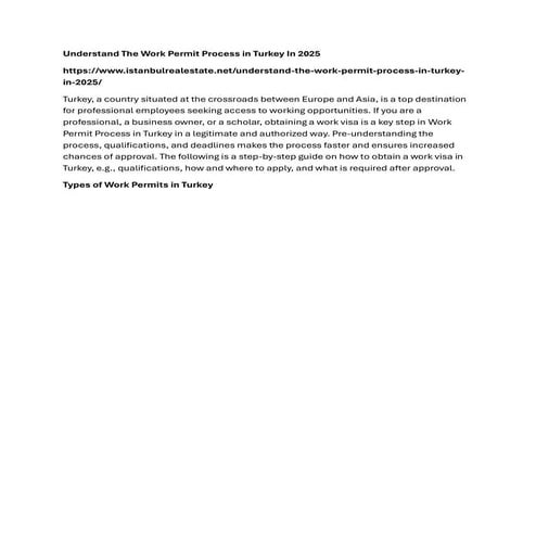 Understand The Work Permit Process in Turkey In 2025.pdf