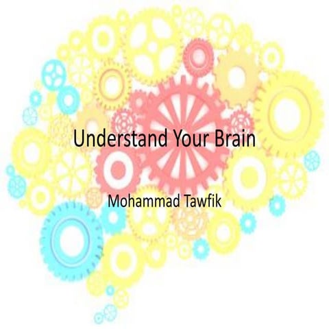 Understand Your Brain | PDF
