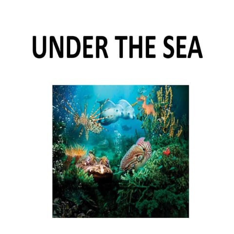 Under the sea | PPT