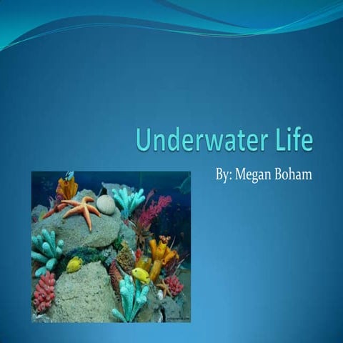 Underwater Life | PPTX