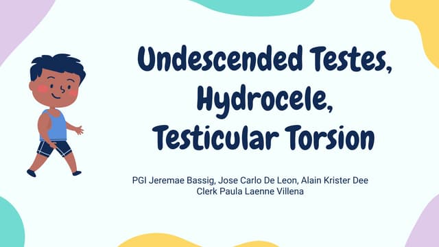Undescended Testes Hydrocele Testicular Torsion Pdf