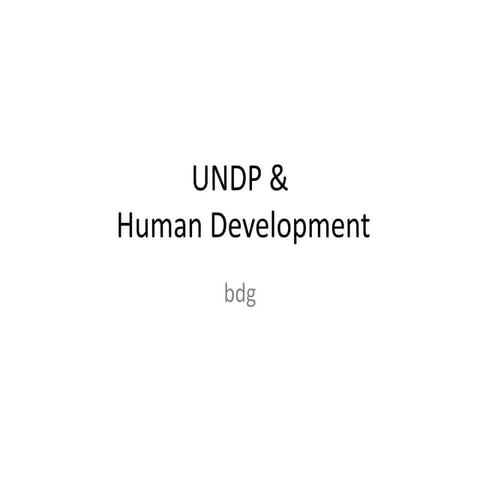UNDP.pptx