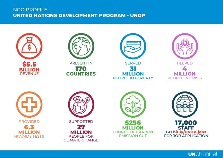 Undp Organization Infographic