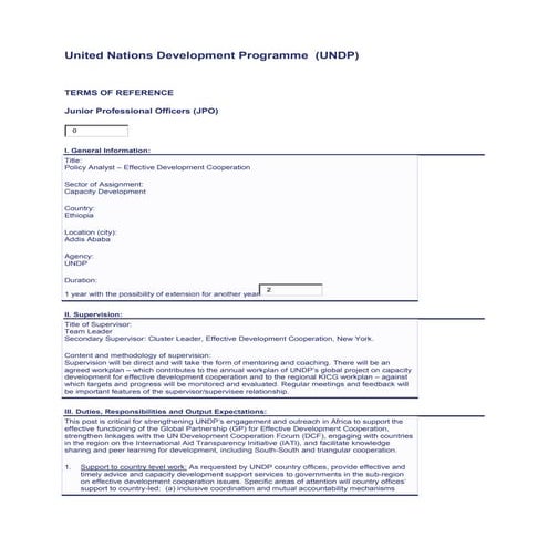 UNDP terms of reference | PDF
