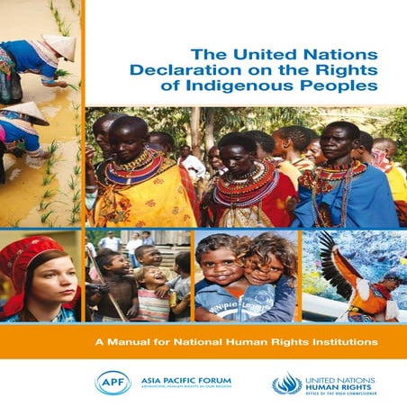The United Nations Declaration on the Rights of Indigenous Peoples A ...