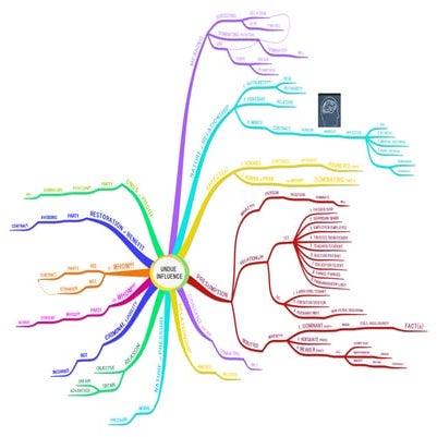 UNDUE INFLUENCE - MIND MAPPING STUDY TECHNIQUE - BUSINESS LAW | PPT