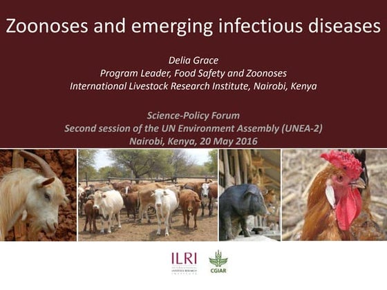 Zoonotics and vector borne diseases | PPT