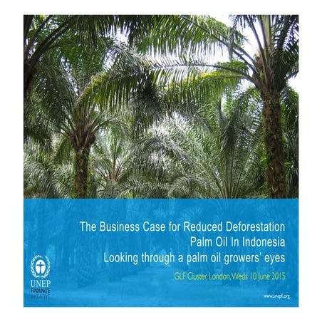 Indonesia’s palm oil | PPT