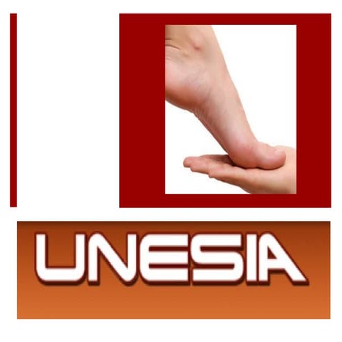 Unesia | PPS