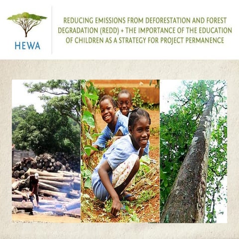 UN Forest Conference | PPT