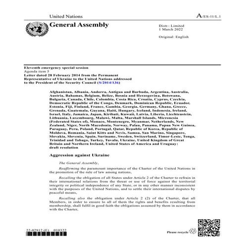 Unga resolution | PDF