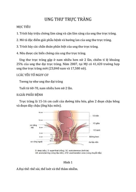 Phân độ TNM của ung thư đại - trực tràng và Ung thư dạ dày theo AJCC 8th | PDF