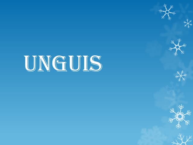 El caribe las antllas menores y mayores | ODT