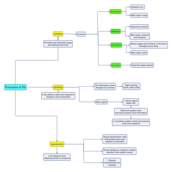 NATURAL SCIENCE 3º. UNIT 1. PROCESSES OF LIFE | PPT