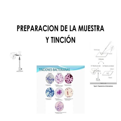 PREPARACION DE MUESTRAS PARA SU OBSERVACION AL MICROSCOPIO OPTICO | PPTX