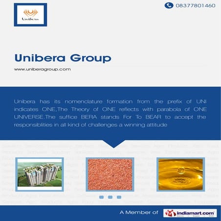 Unibera group | PDF