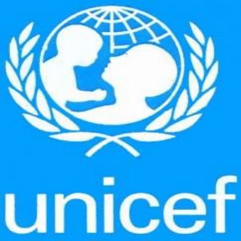 United Nations Children's Fund (UNICEF) | PPTX