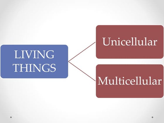 Unicellular and mulitcellular | PPTX | Biological Sciences | Science
