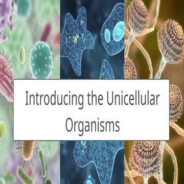 Examples of Unicellular Organisms (The Science of Life Grade 7 Second ...