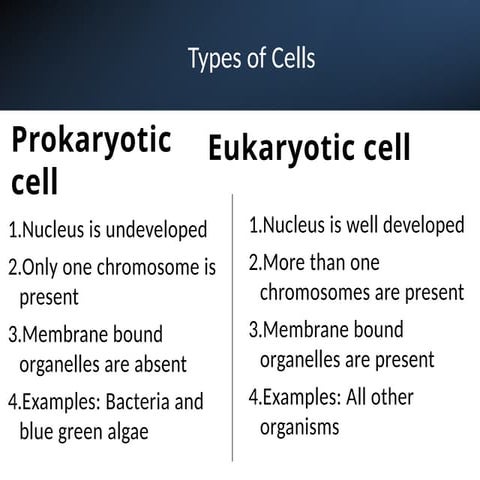 Different types of Unicellular Organisms ppt.pptx