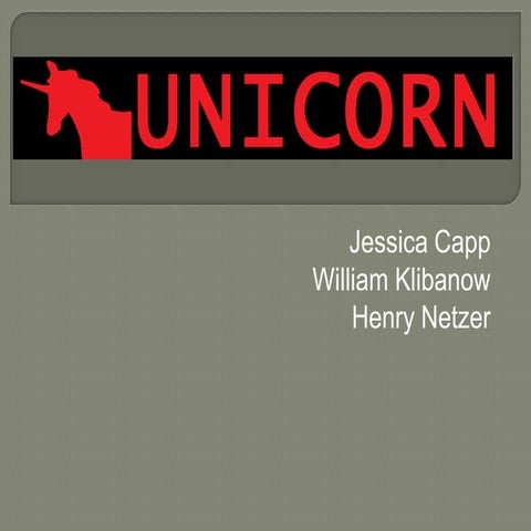 Unicorn initial project presentation | PPT