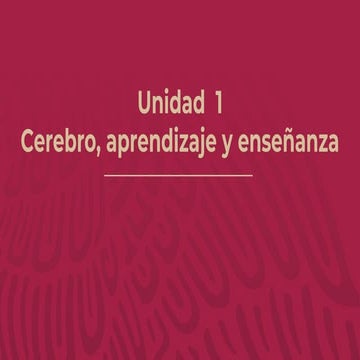 Unidad 1.pdfcerebro,aprendizaje y enseñanza | PDF