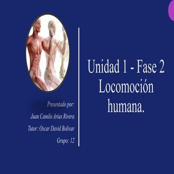 Fase 2 Locomoción humana.pptx