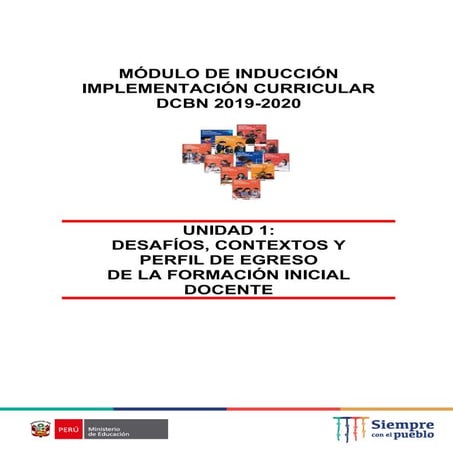 Modulo de inducción implementación curricular | PDF