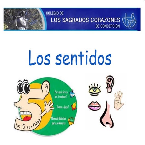Unidad 2 los sentidos | PPT